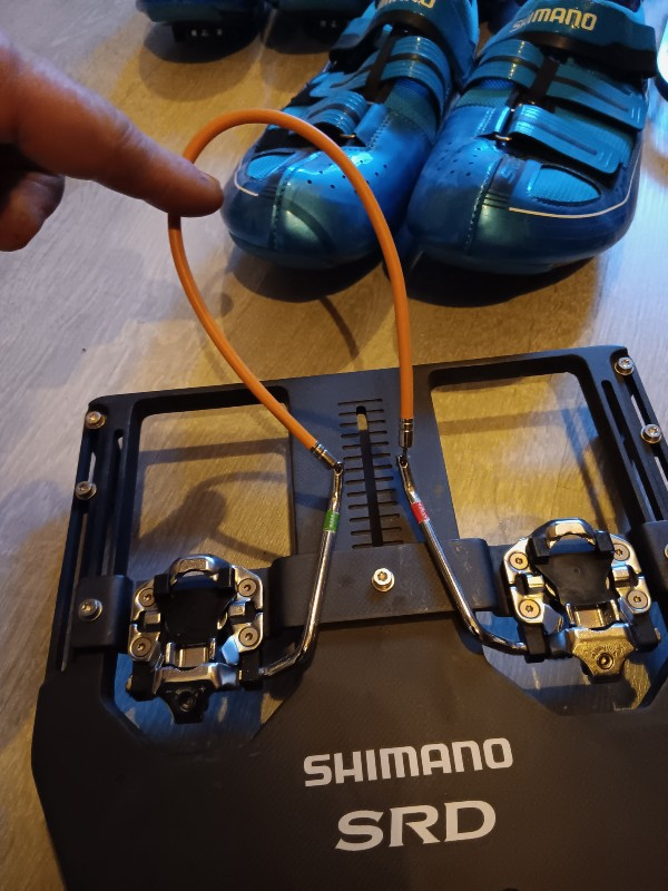 Rowing market | EuRow